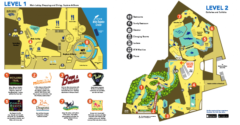 Campinas.com.br - Um passeio pelo Florida Aquarium em Tampa Bay