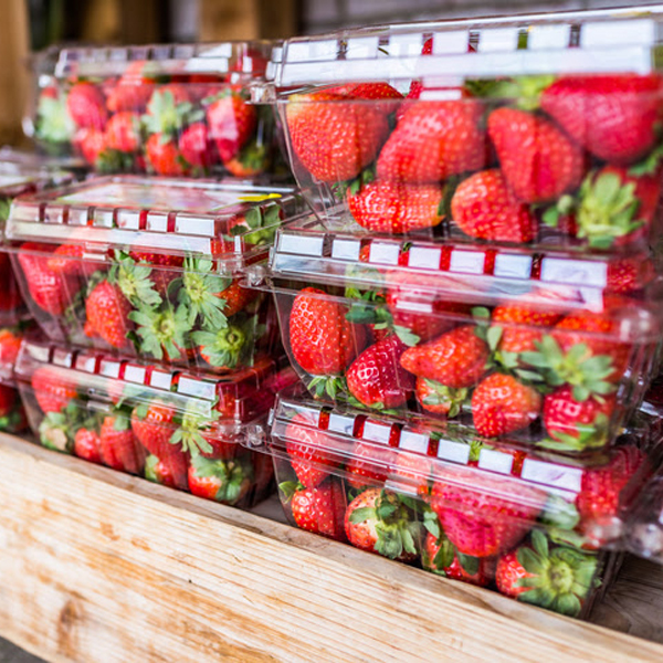 Campinas.com.br - 35ª Festa do Morango de Atibaia e Jarinu ocorre entre ...