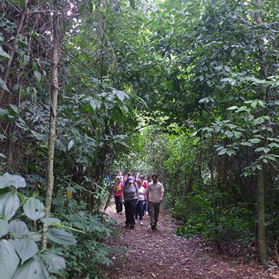 Campinas.com.br - Última edição da visita à Mata de Santa Genebra em ...