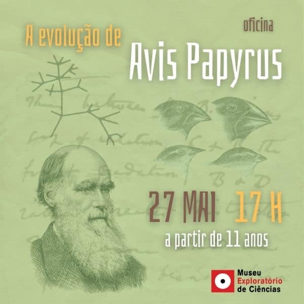 Campinas.com.br - Museu Exploratório promove atividades on-line sobre ...