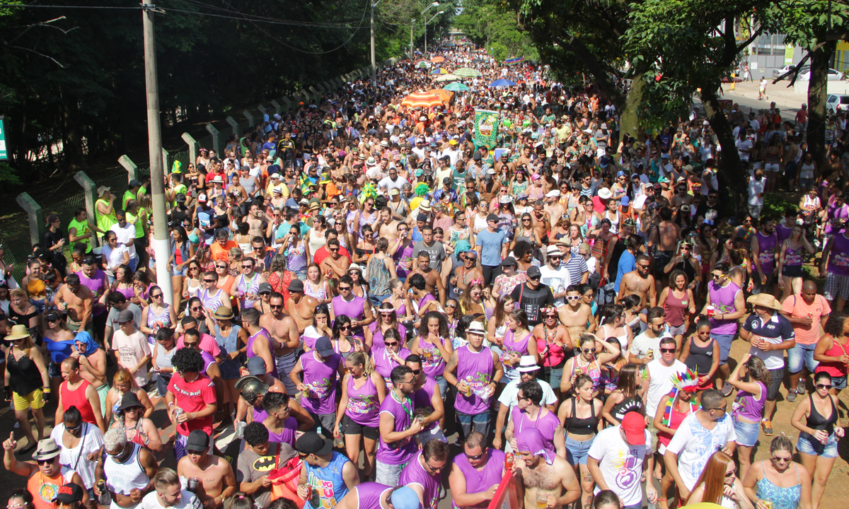 Campinas.com.br - O início, o fim e no meio da City Banda, maior bloco ...