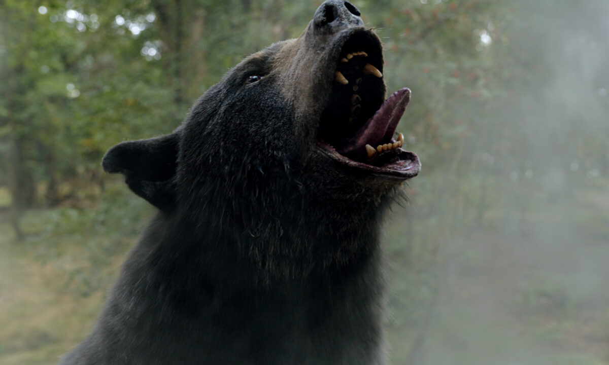 Campinas.com.br - Último filme de Ray Liotta, “O Urso do Pó Branco” é ...