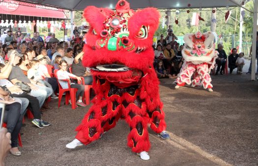 Campinas.com.br - Festival do Japão de Vinhedo reúne cultura e ...