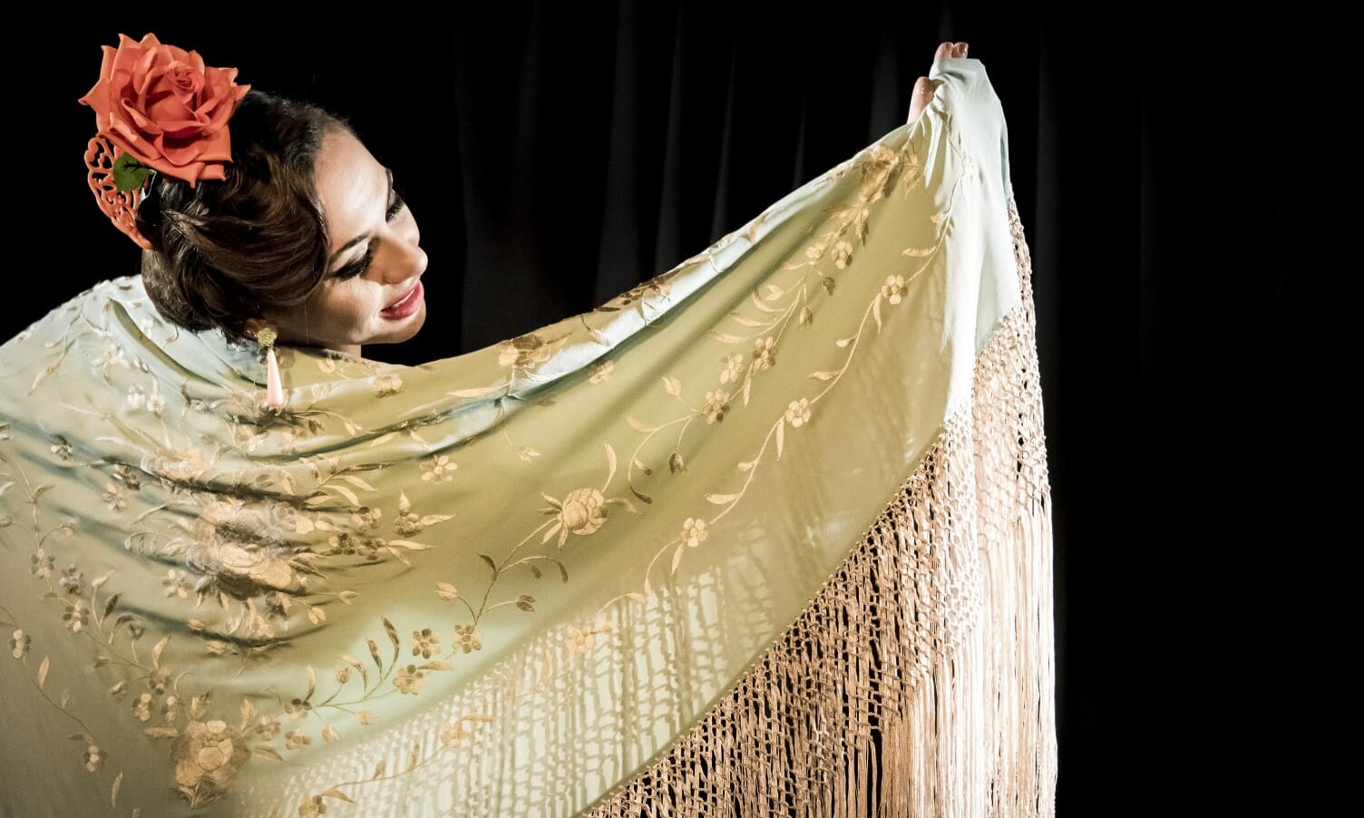 Campinas.com.br - Show de flamenco em Vinhedo faz tributo à obra de ...