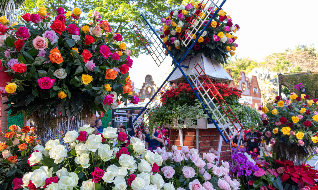 Campinas.com.br - Expoflora, a famosa festa das flores de Holambra ...